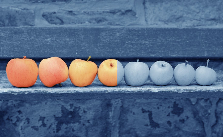 Pictograph vs Bar Chart: Which One Should You Use?