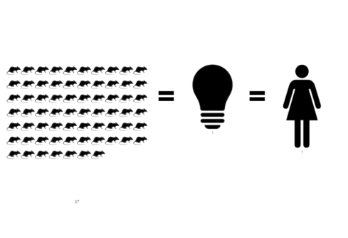 Free Pictograph Maker | Create a Stunning Pictograph with Displayr for Free