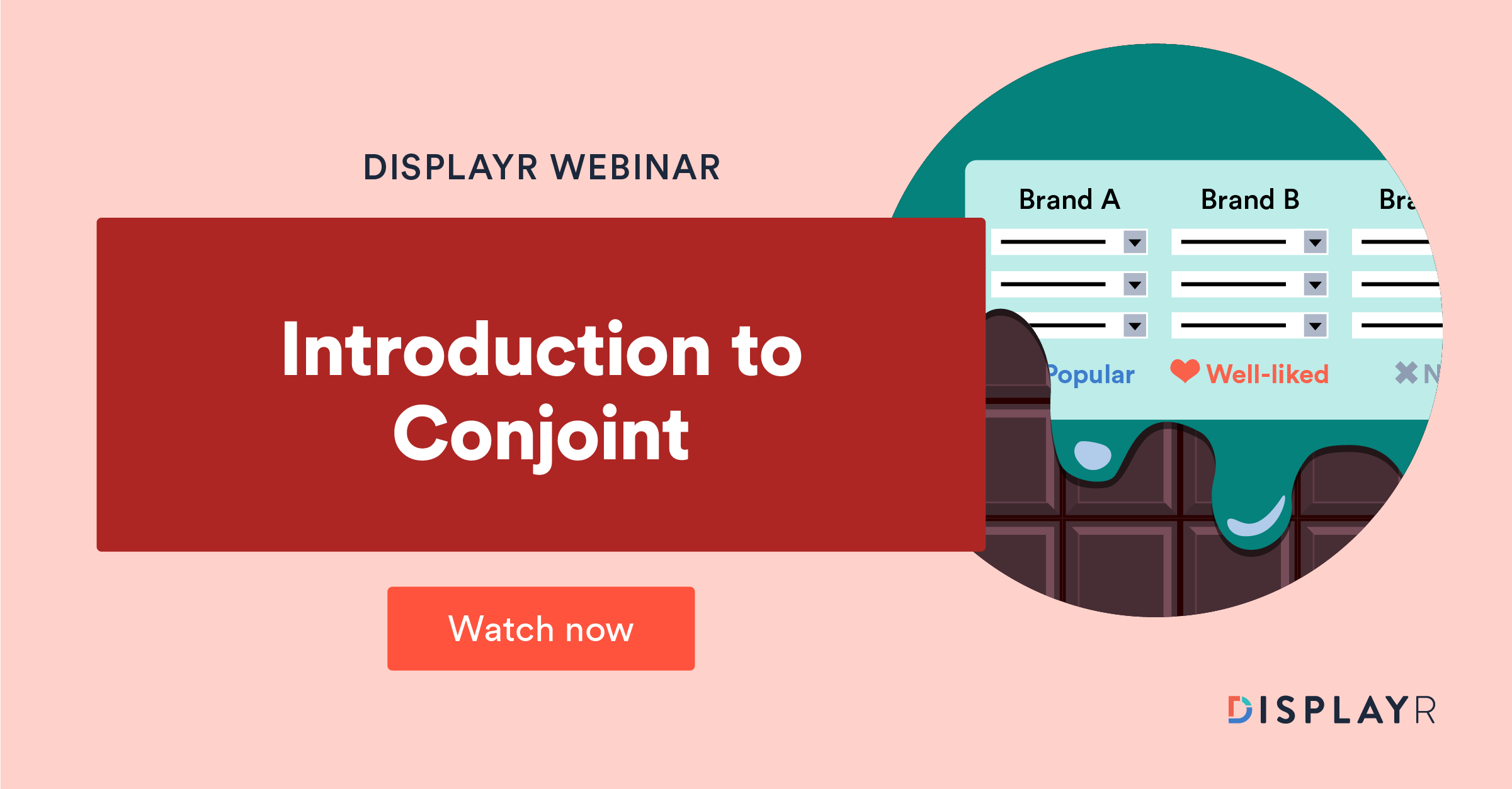 Introduction To Conjoint Displayr 
