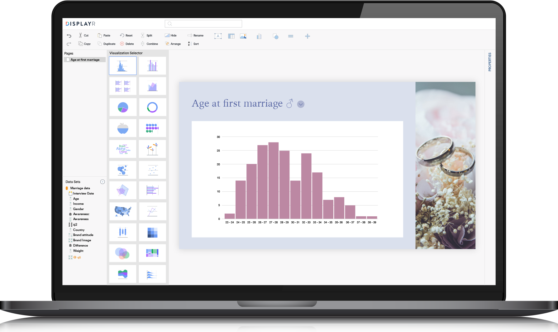 Free Histogram Maker Create A Histogram Online Displayr 